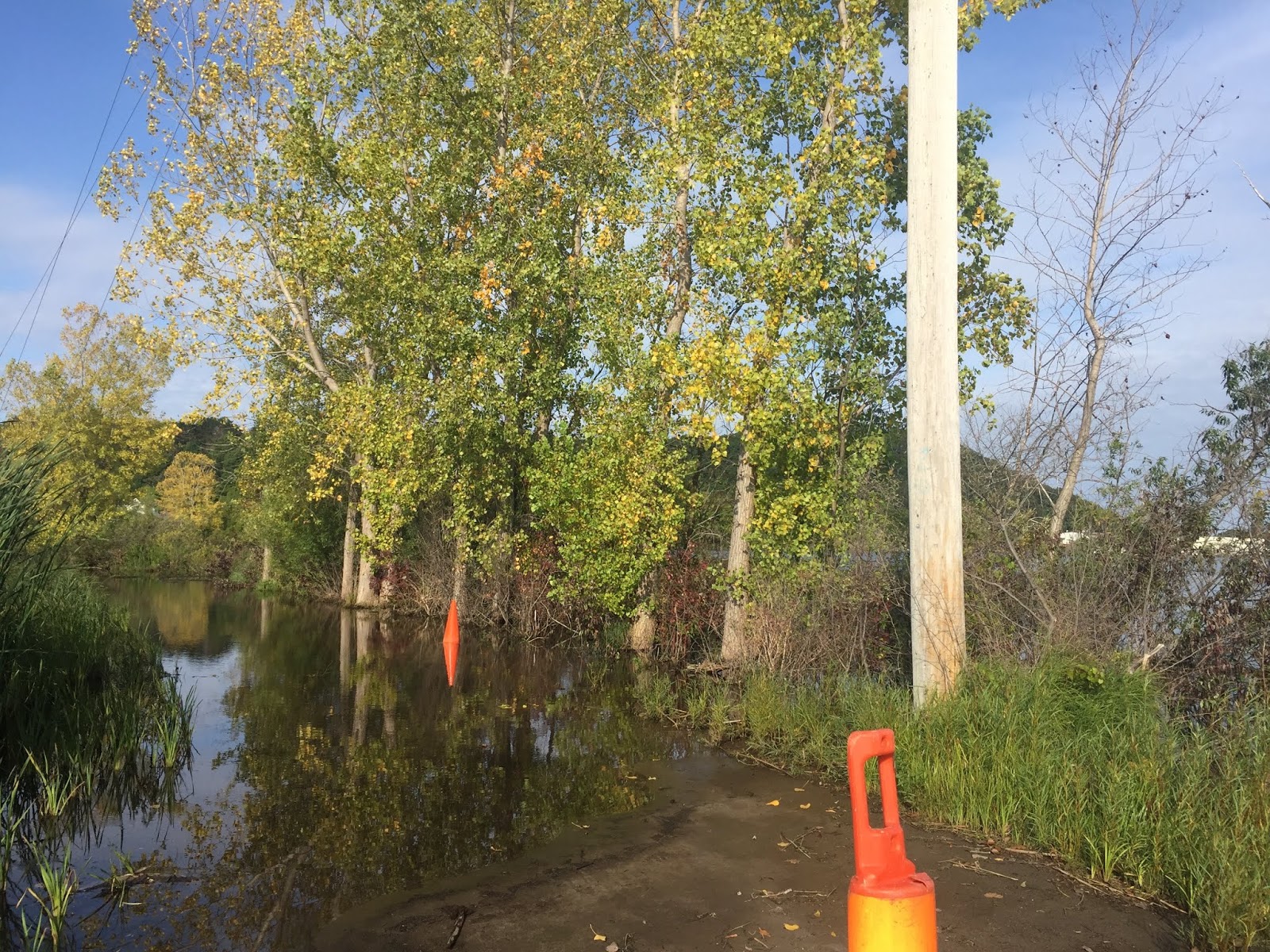 Travel Reviews & Information: Benzie County, Michigan: Betsie River ...