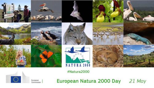 «Ευρωπαϊκή Ημέρα NATURA 2000»: Οικολογικό Δίκτυο «ΦΥΣΗ 2000» στον ...