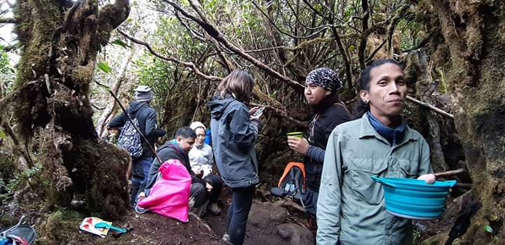 The Restless Soles: Timbac-Tabayoc Hike: Travel Guide