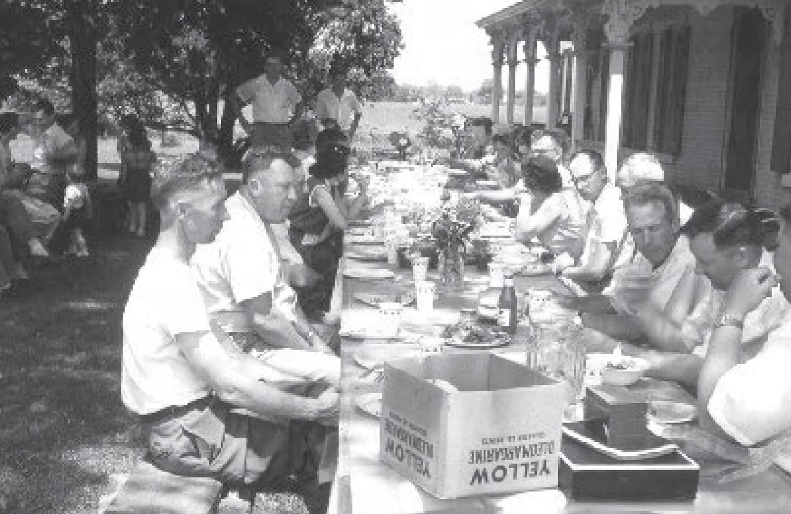 Valley Girl Views: When Flying Farmers Landed In Milton