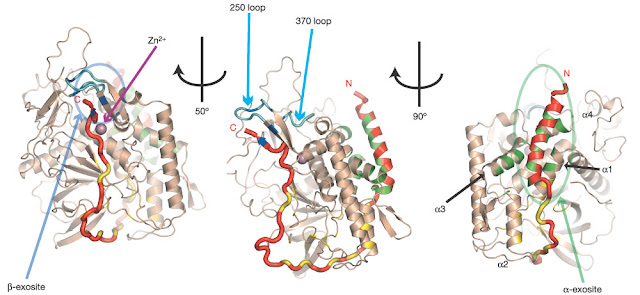 The Boundless Thicket: The Beauty of Poison