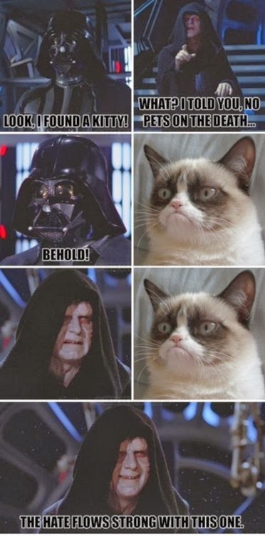 Grumpy Cat Star Wars Yoda