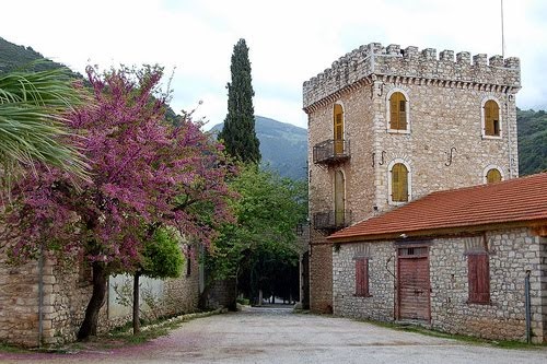 ΠΛΑΤΑΝΟΒΡΥΣΗ Ν.ΑΧΑΙΑΣ: Φεβρουαρίου 2015