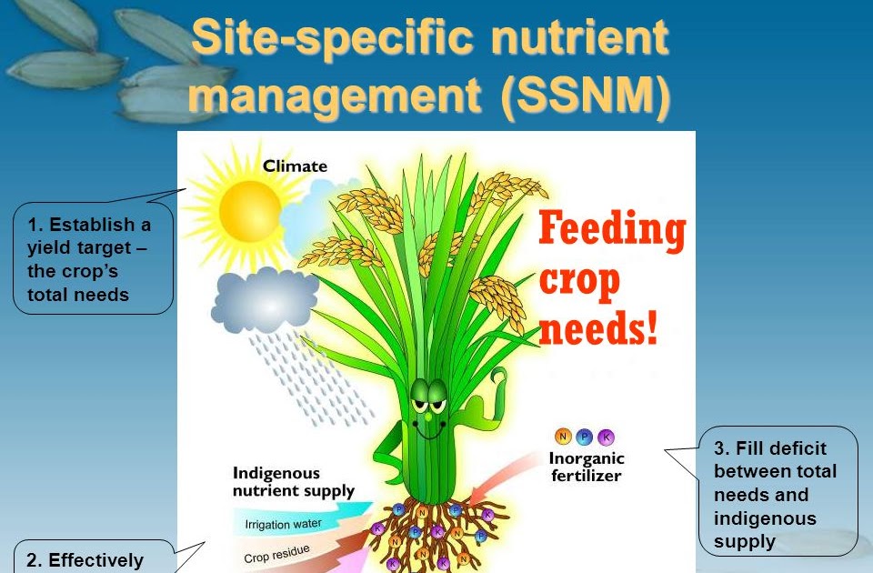 Implementation guidance for a successful Site Specific Nutrient Management