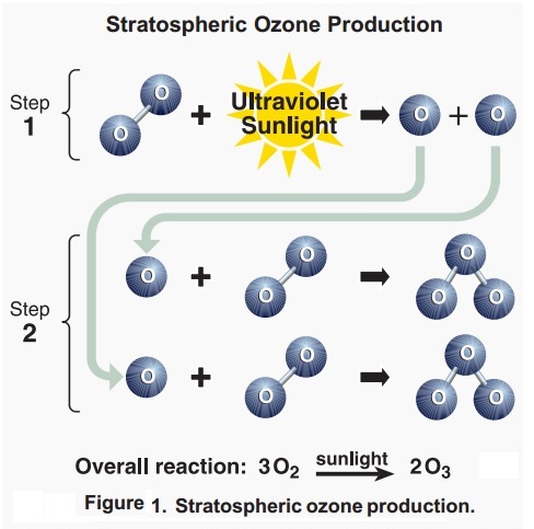 Formation of Ozone in atmosphere.