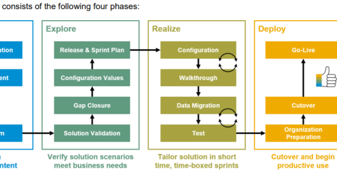 EMPLOYEE CENTRAL: Instance & SuccessFactors Implementation Methodology