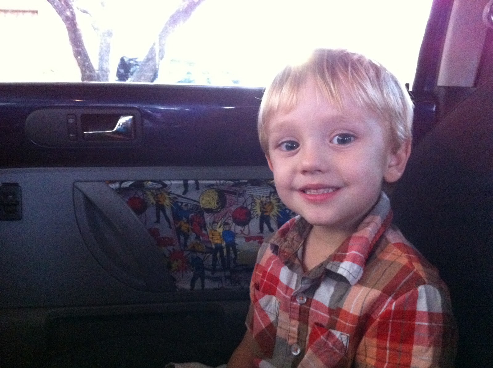 Between the Rabbit's Ears: DIY: Interior Car Door Makeover with Mod Podge