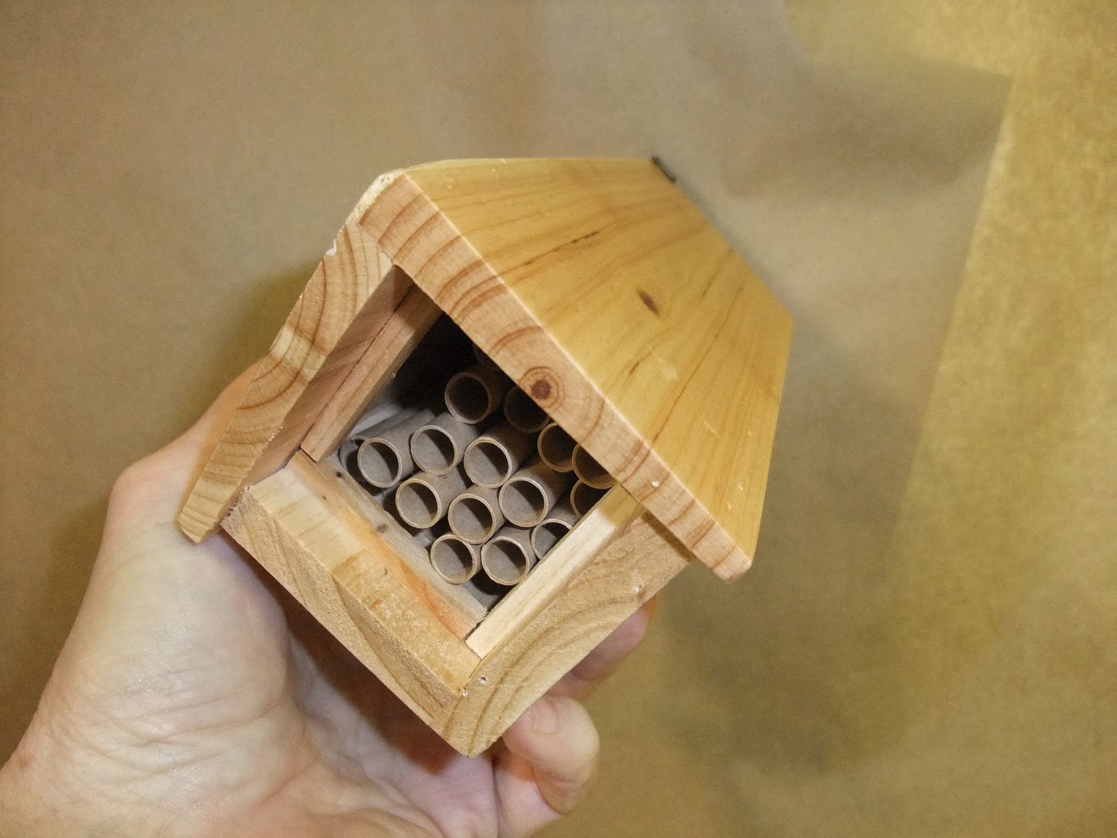 Setting out mason bee cocoons in a Beediverse Starter Cottage ...