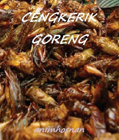 Petak Semai: CENGKERIK - CARA MENTERNAK (Part 2)