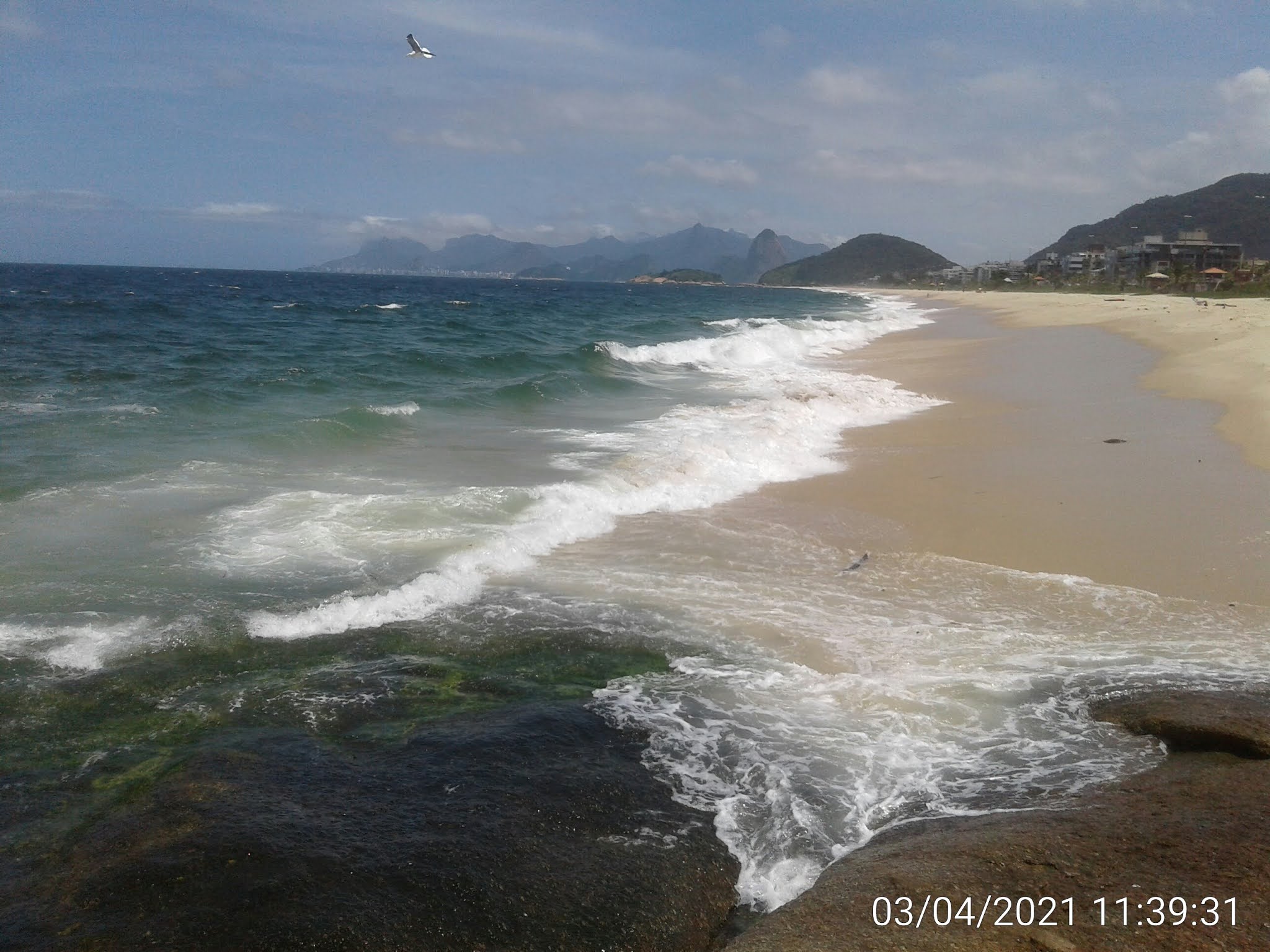Carioca que ama o Brasil e estado do Rio de Janeiro. Valorizando sua ...