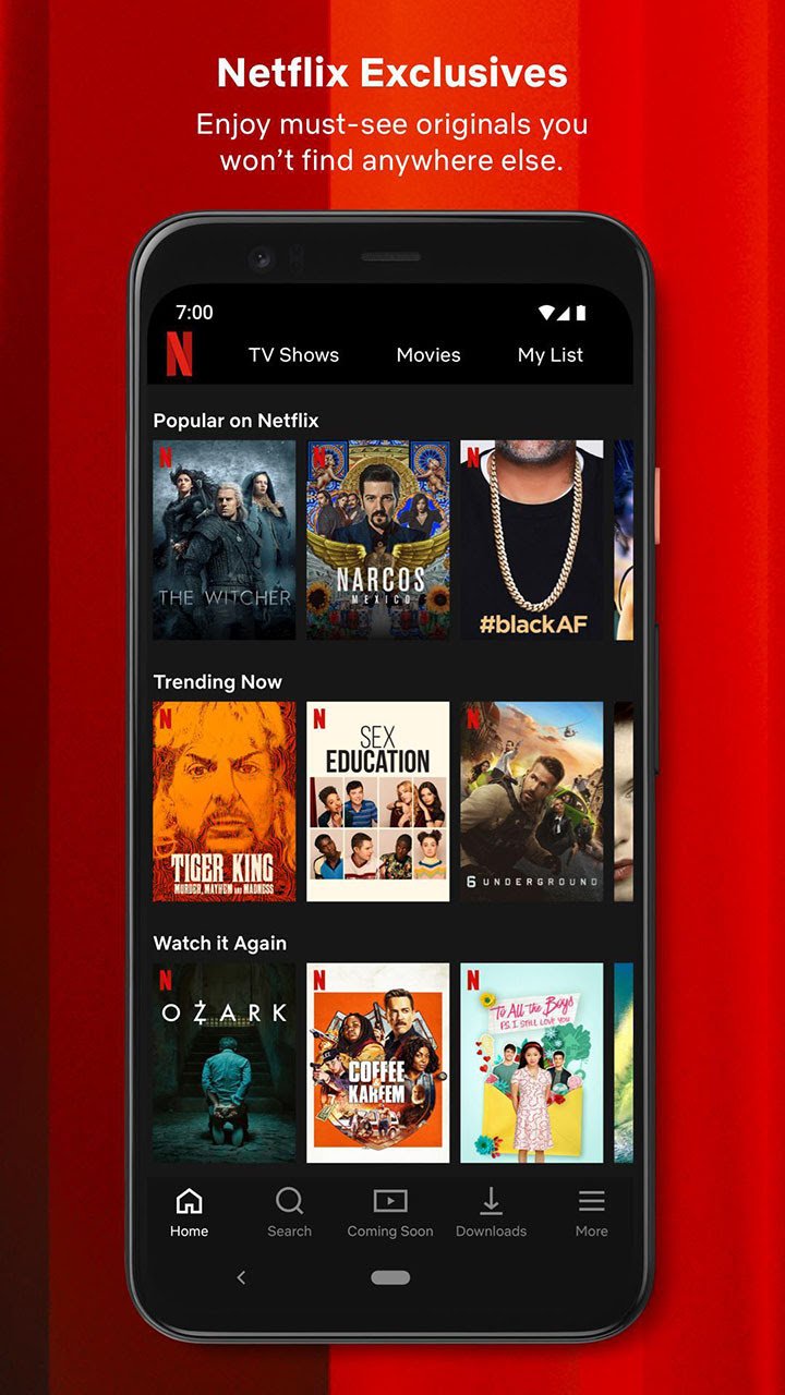 Netflix pro Free Download
