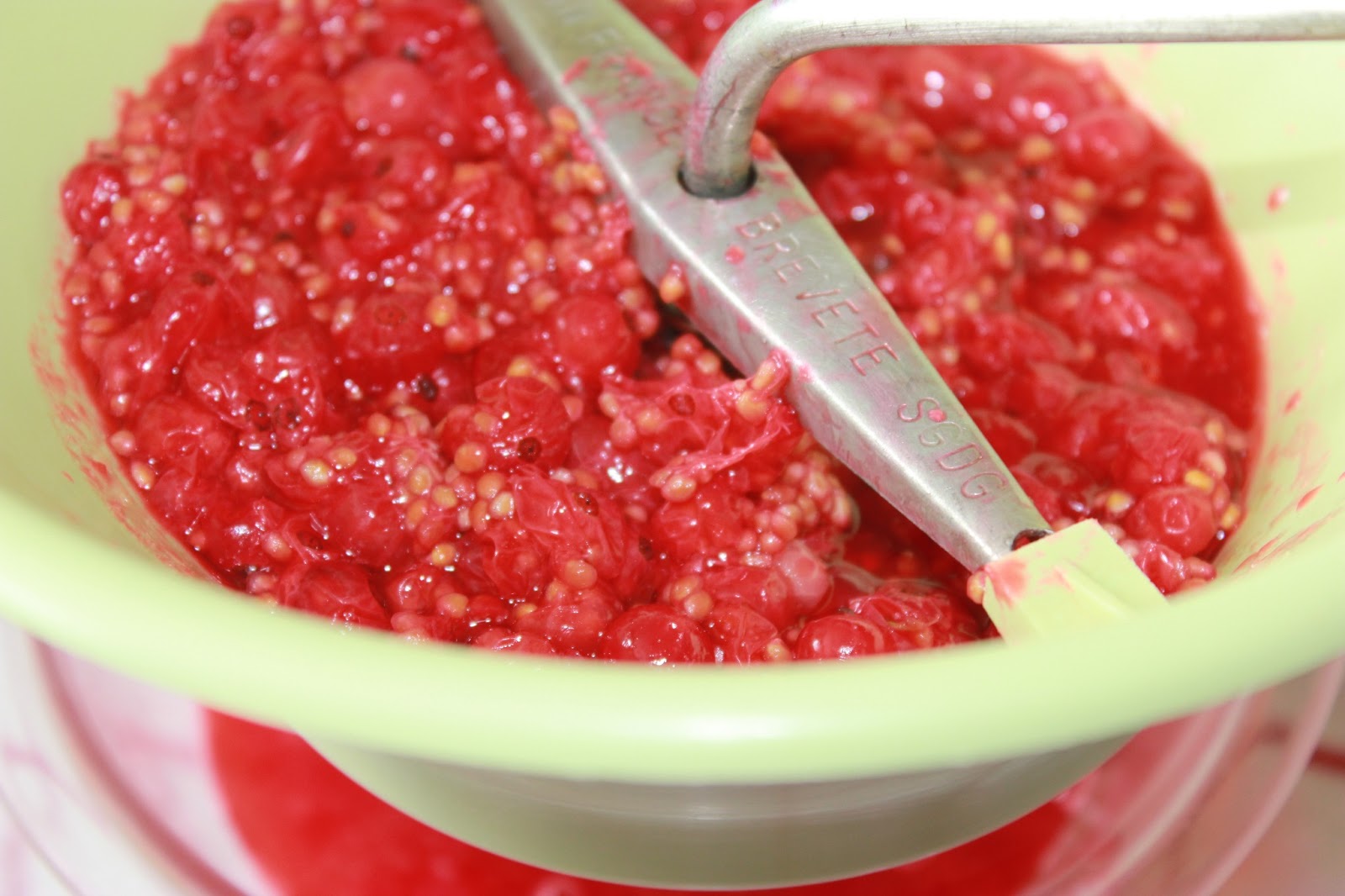 Souped-up Garden: Red Currant Ice Cream