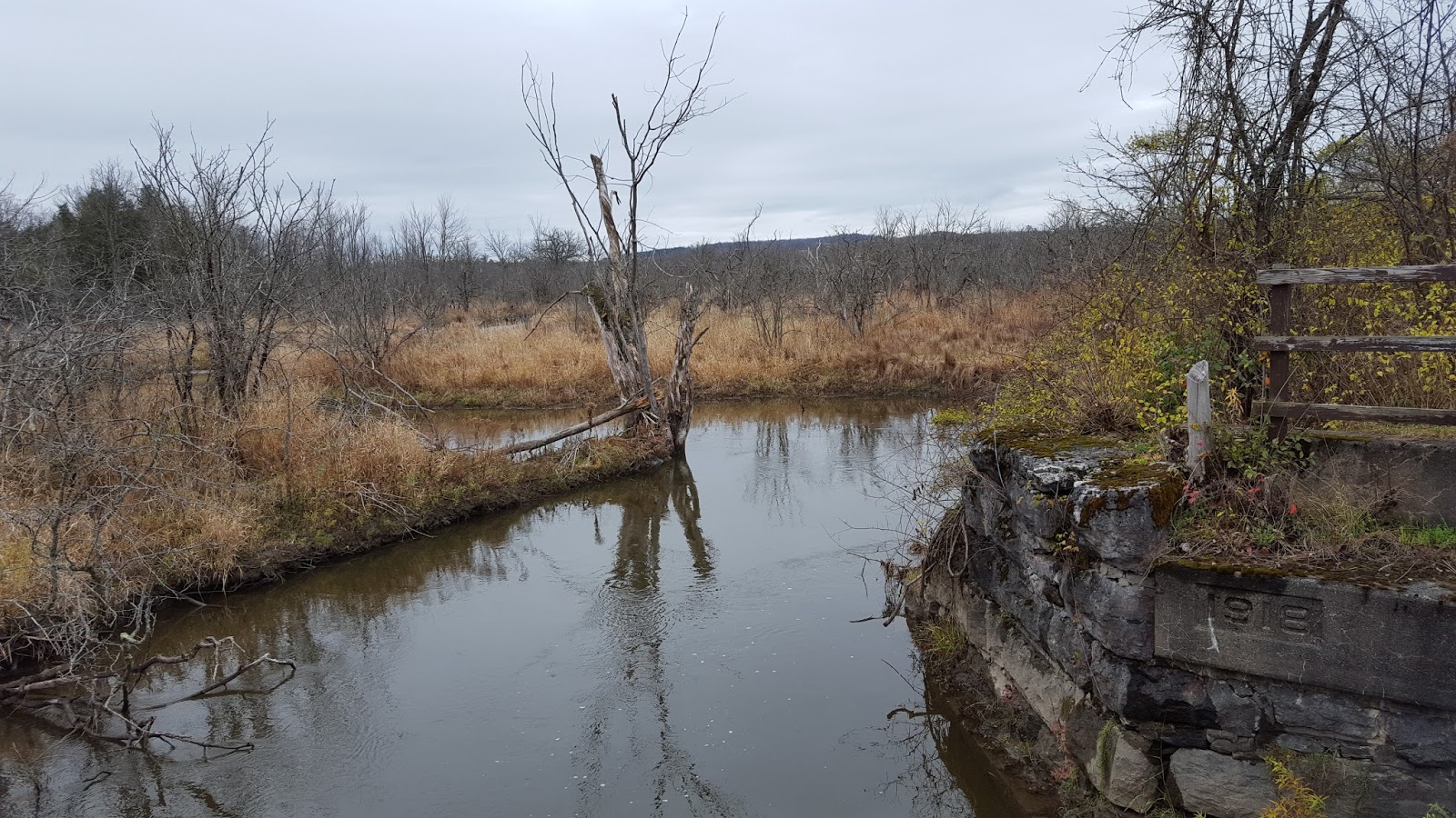 Sara Hikes... But Not Enough : NCT: Nelson Swamp & Roadwalk