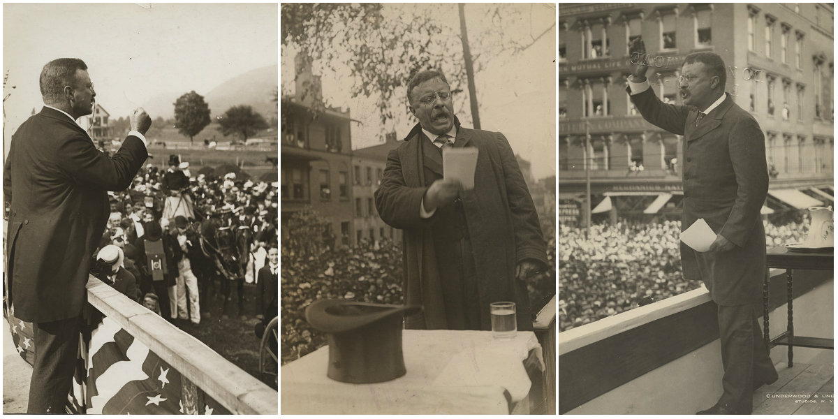 Theodore Roosevelt Vice President