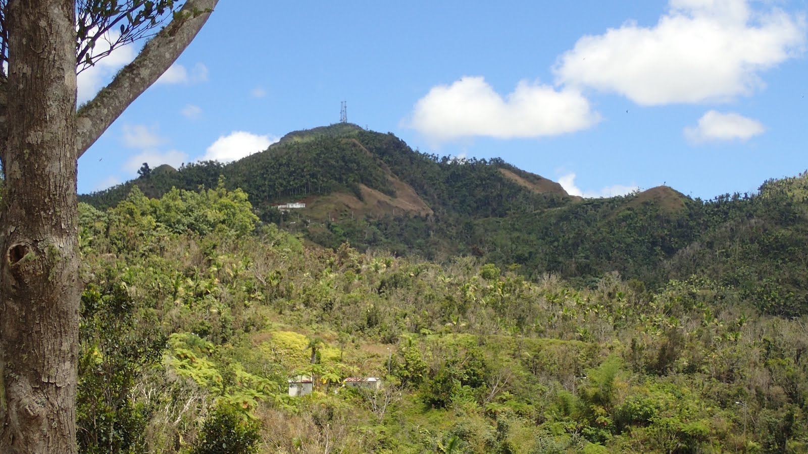 Things we did today...: Puerto Rican Coffee - Coming Back