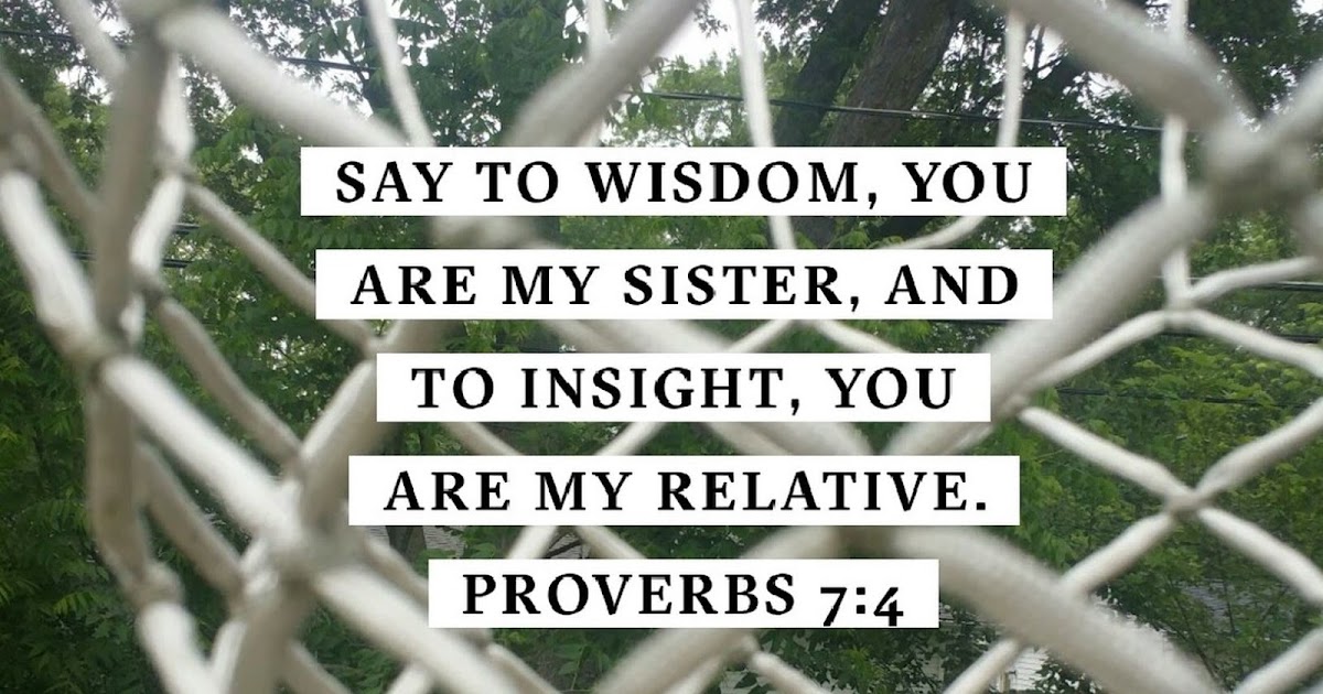Embrace Wisdom!