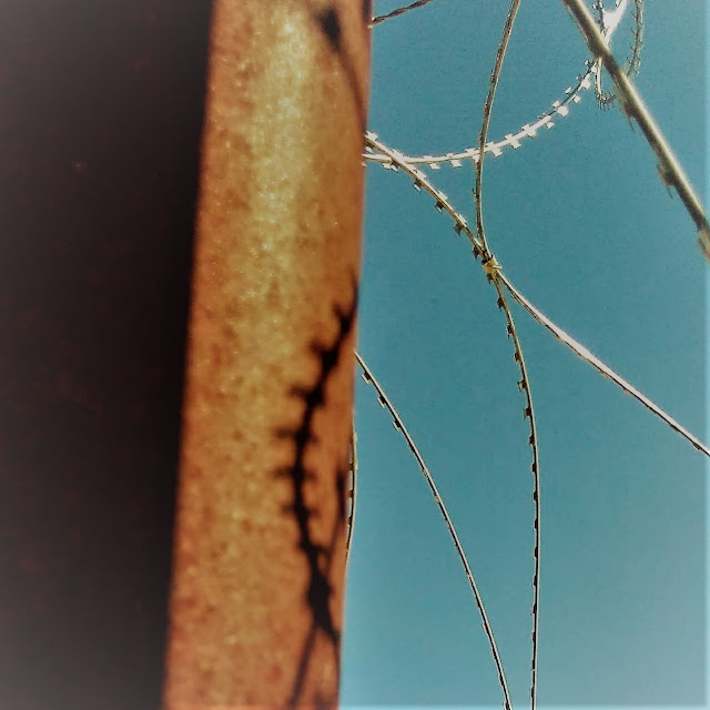 Living Rootless: Arizona: Sasabe: Humane Borders: July