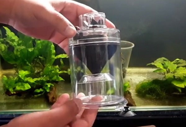Aquarium Filter To Clean Fish Poop