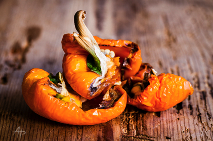 North In Wisconsin: Decay Examples