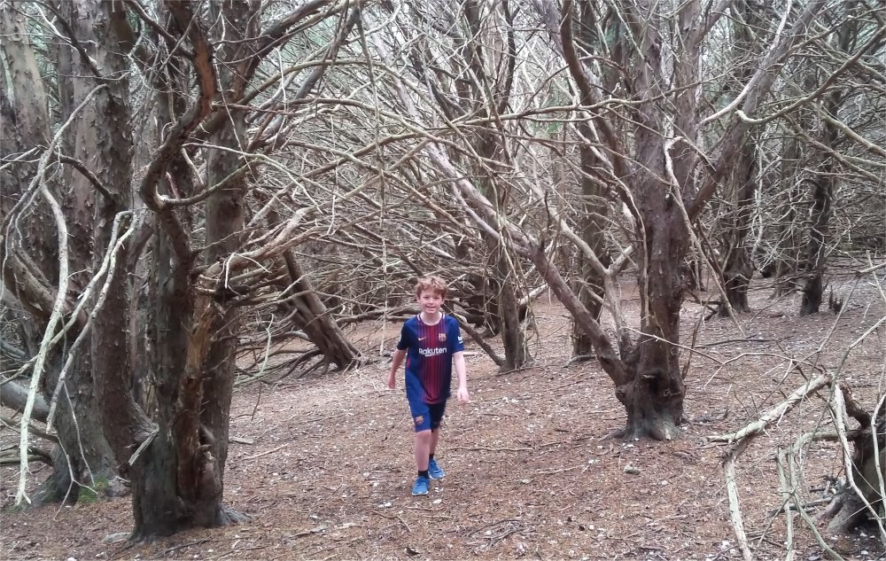 Danny's Blog: Lock Down Adventures