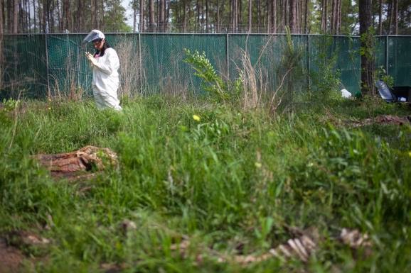 Crime Fiction Collective: You Are What You Eat