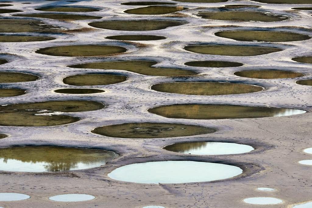 The Spotted Lake of Osoyoos ~ Kuriositas