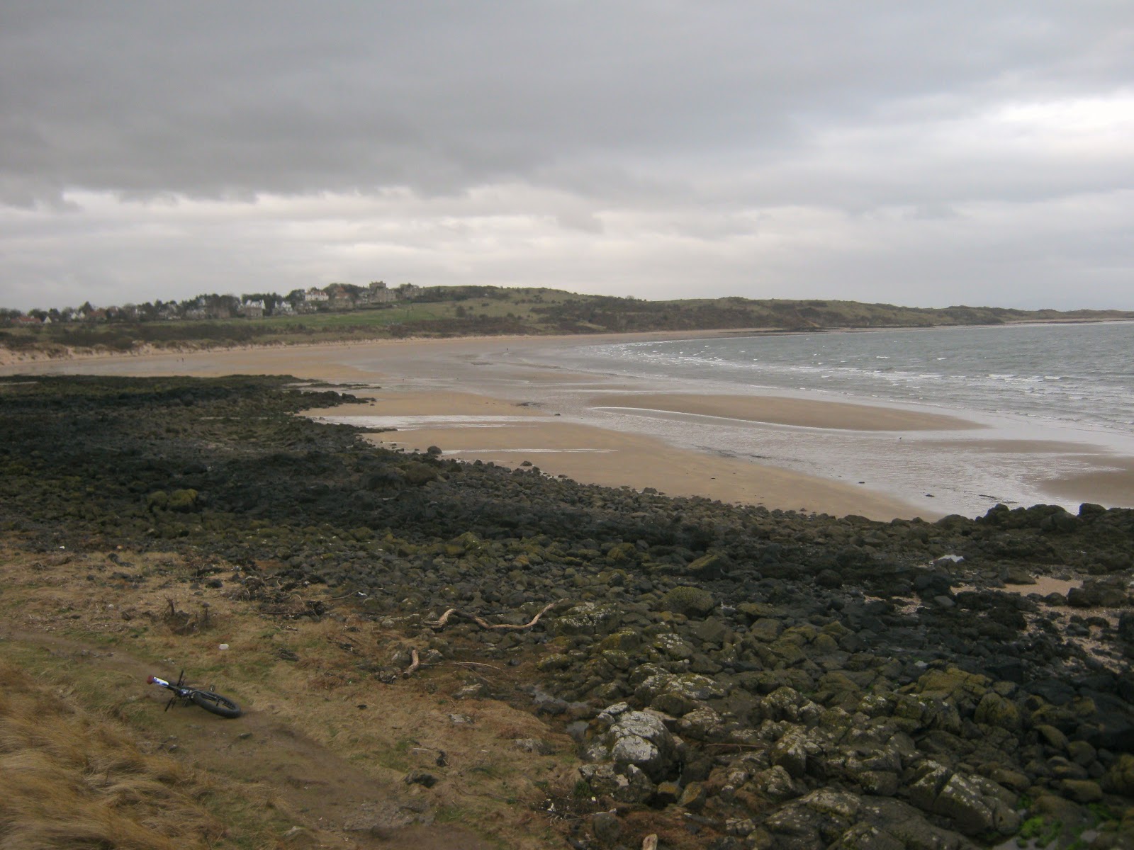 coastrider: Spring Tides Beach Rides...