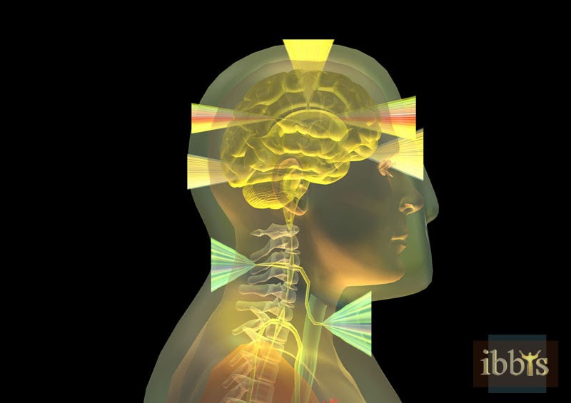 magiadailha: As Glândulas Místicas- PINEAL ou Epífise - 5ªparte B ...