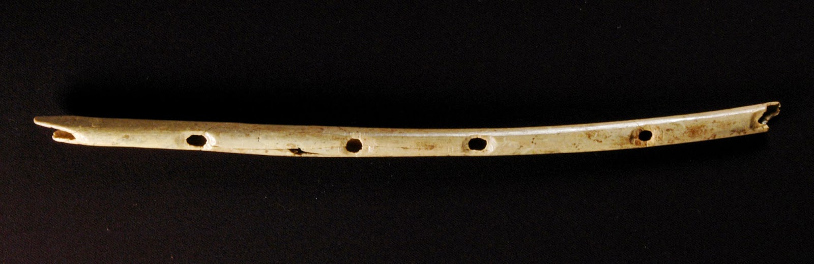 Kolekcionar: Najstariji muzički instrumenti