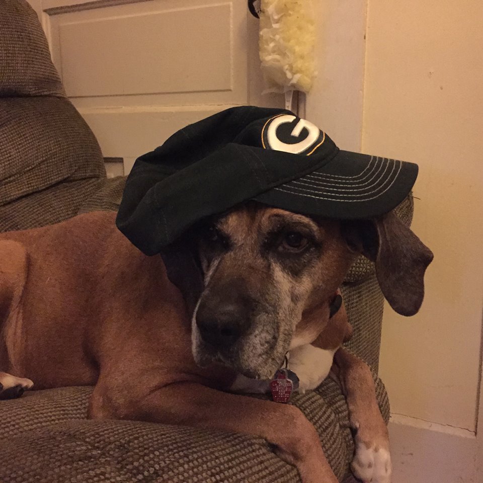 Moments of Introspection: August 2015