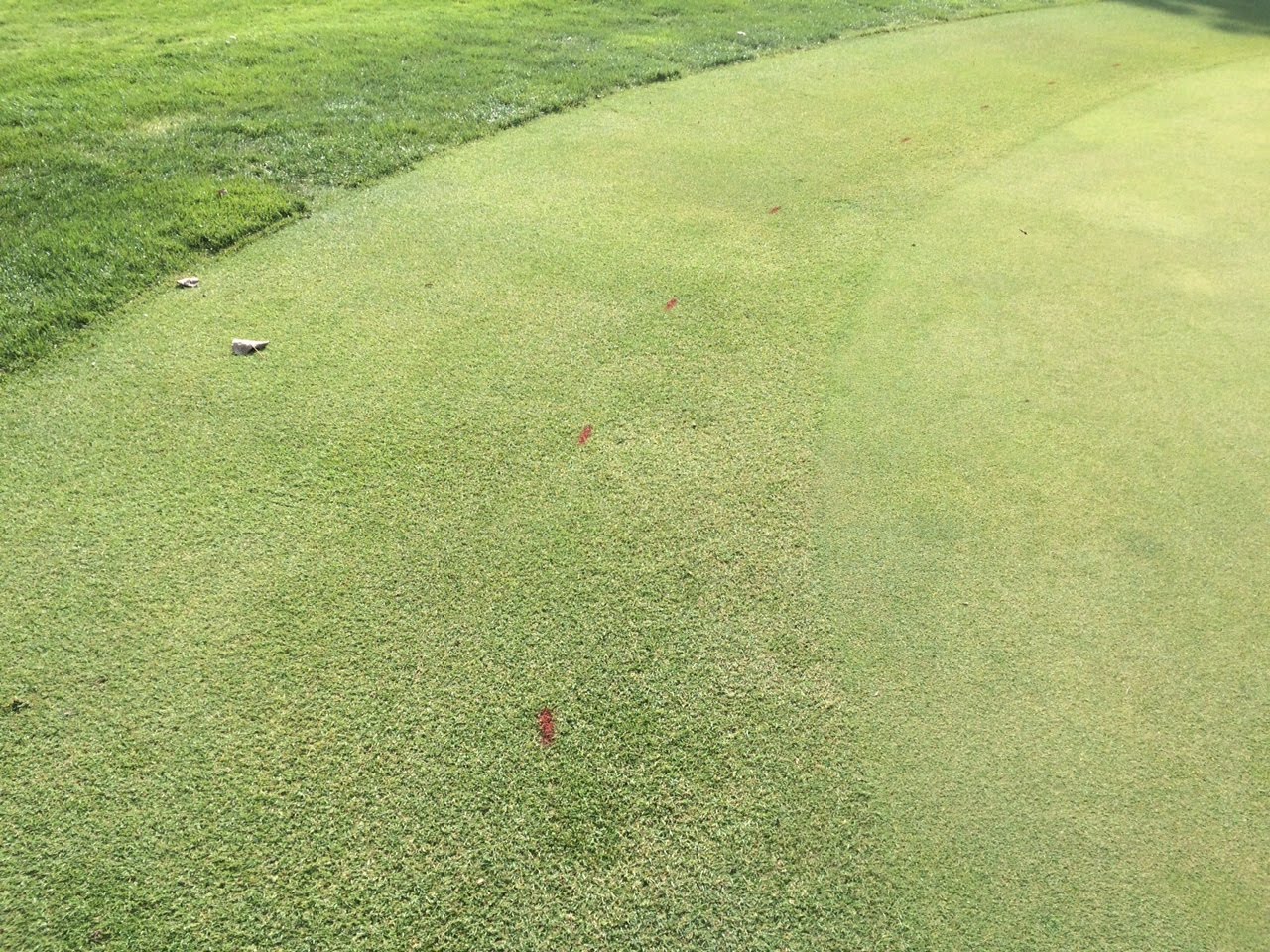 The World of Turf: Creepy things on the golf course