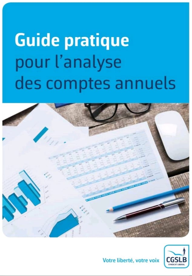 Guide Pratique Analyse Comptes Annuels Pdf