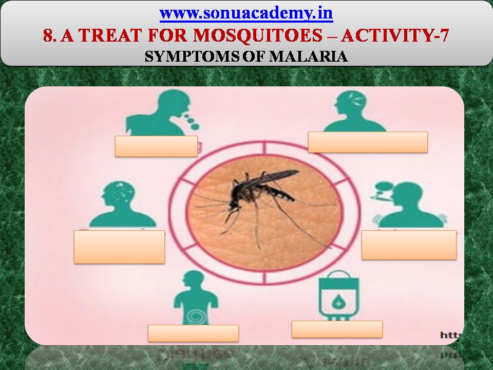 SONU ACADEMY: A TREAT FOR MOSQUITOES : (ACTIVITIES) ENVIRONMENTAL ...