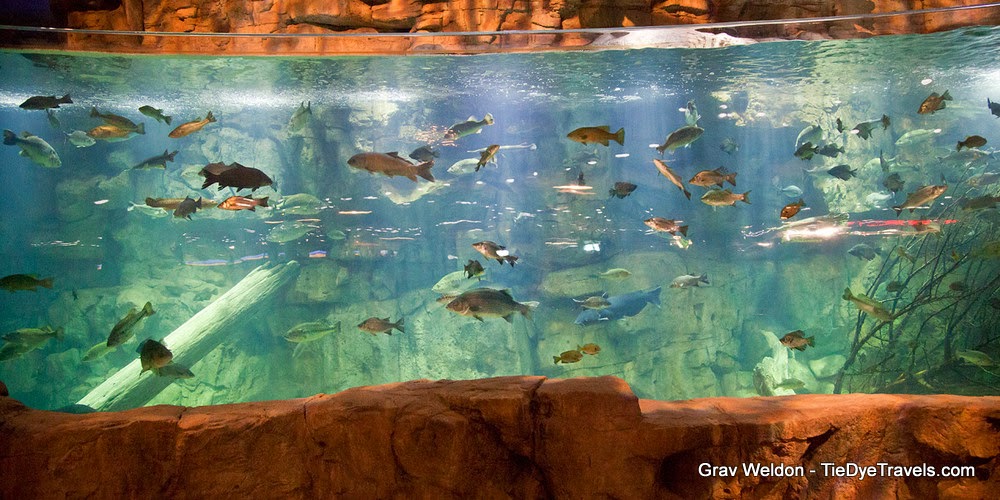 Tie Dye Travels with Kat Robinson - Author, Arkansas Food Historian, TV ...