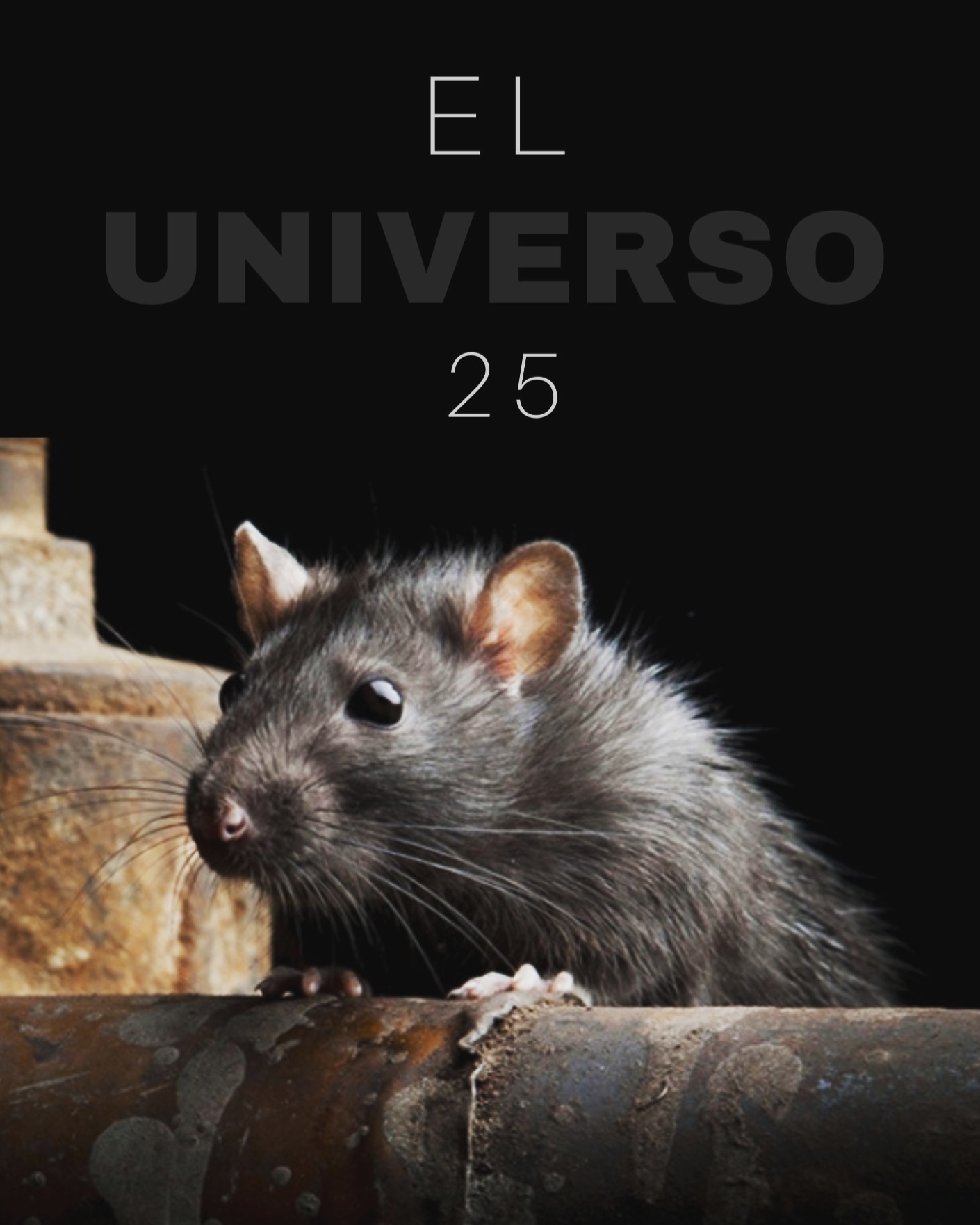EL UNIVERSO 25 ¿UN REFLEJO DE NUESTRA CONDUCTA?