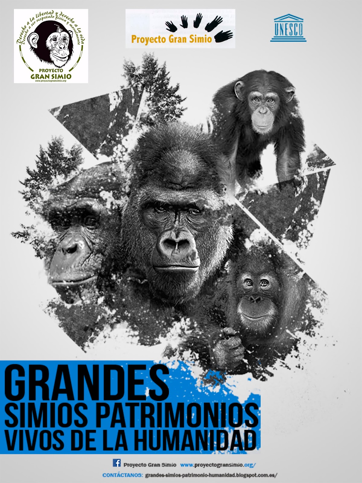 GRANDES SIMIOS PATRIMONIOS VIVOS DE LA HUMANIDAD: PROYECTO GRAN SIMIO ...