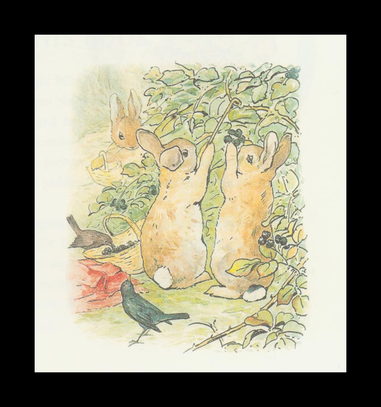 Painting of Beatrix Potter artist, Beatrix Potter paintings