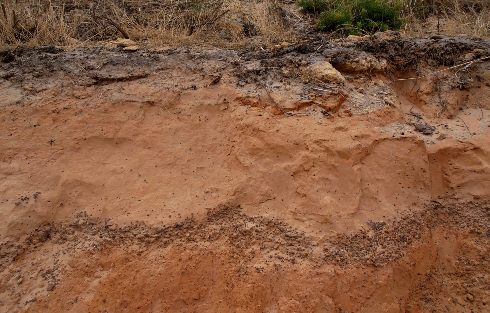 d r i n k s t e r: AUSTRALIA BEGINS TO LEARN TERROIR