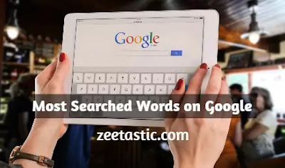 Most Searched Words on Google 2021 - ZeeTastic | Teaching You Everything