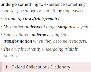 Leoxicon: 8 dictionary activities