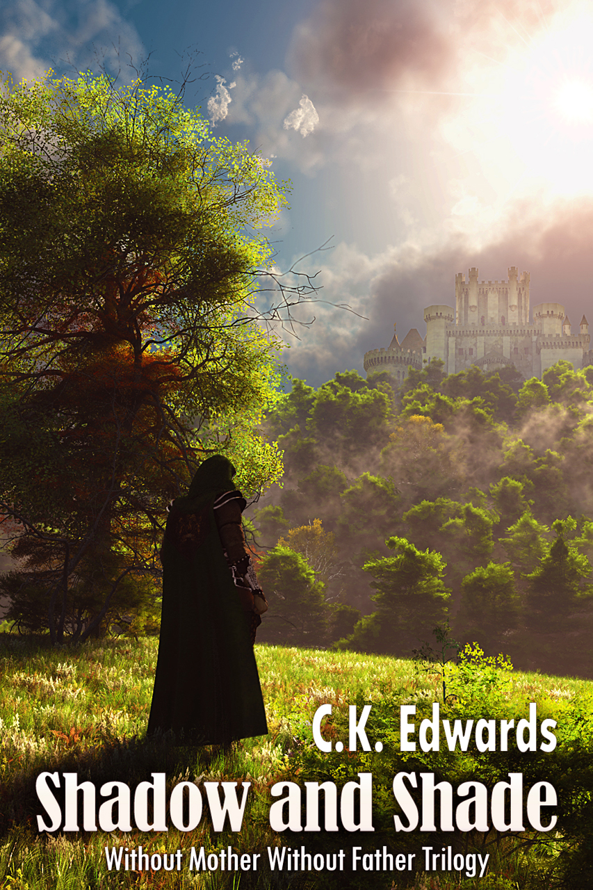 Blissful Misery: Shadow and Shade 12