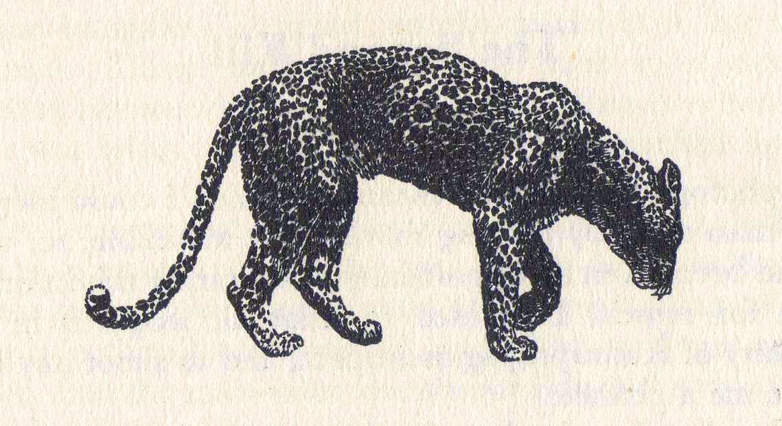 Raymond Sheppard and The Man-Eating leopard of Rudraprayag by Jim ...