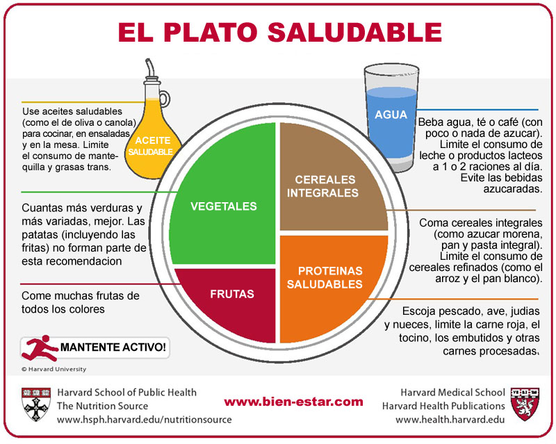 La nutrición y la salud: Harvard propone un 'plato saludable' basado en ...