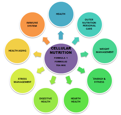 PERSONAL HEALTHY: CORE PRODUCT OF HERBALIFE