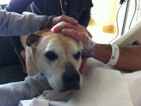 BOB HUISH: Bob the fighter...