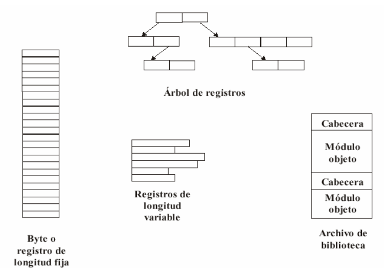 Estructura de archivos.