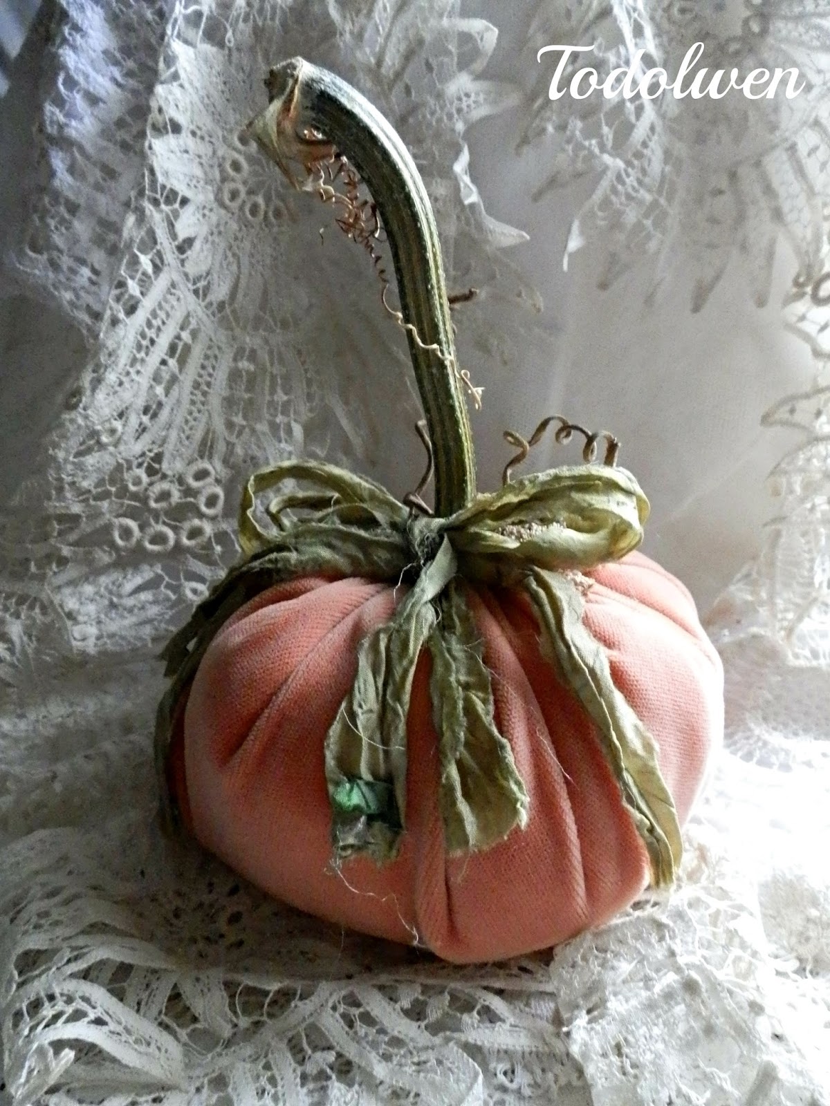 Todolwen: My First Velvet Pumpkin ~ Ever