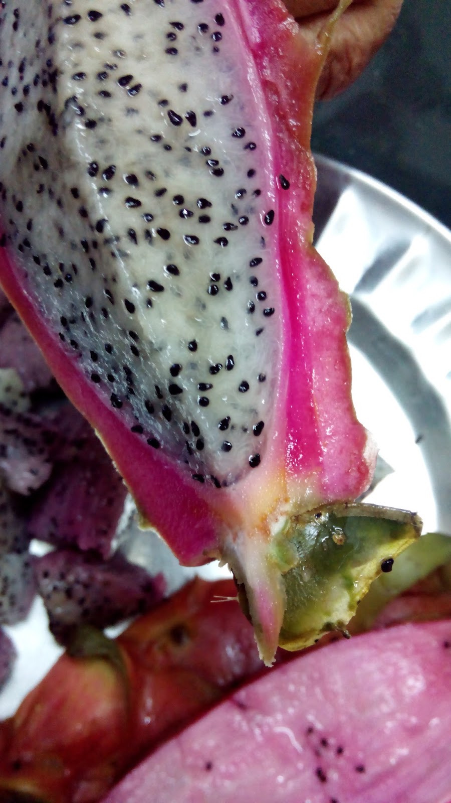 Garden Care Simplified: Important Information Why You Need To Repot ...