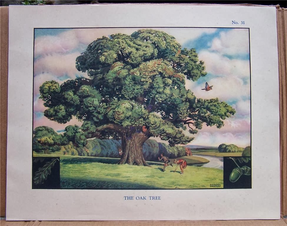 Raymond Sheppard Illustrator: Raymond Sheppard and Childrens posters