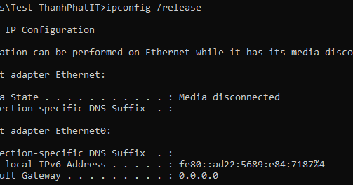 Hướng dẫn Release and Renew một IP (DHCP IP) trên Linux bằng Terminal